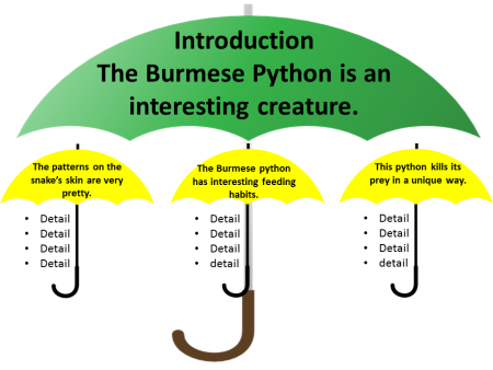 topic sentence umbrellas python example - Teacher-Written Lesson Plans ...
